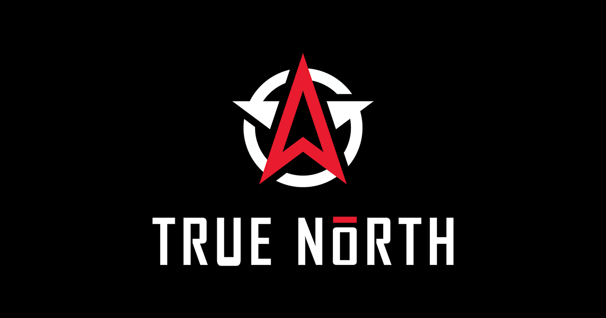 Twin Cities SEO & Digital Marketing | True North Digital Marketing